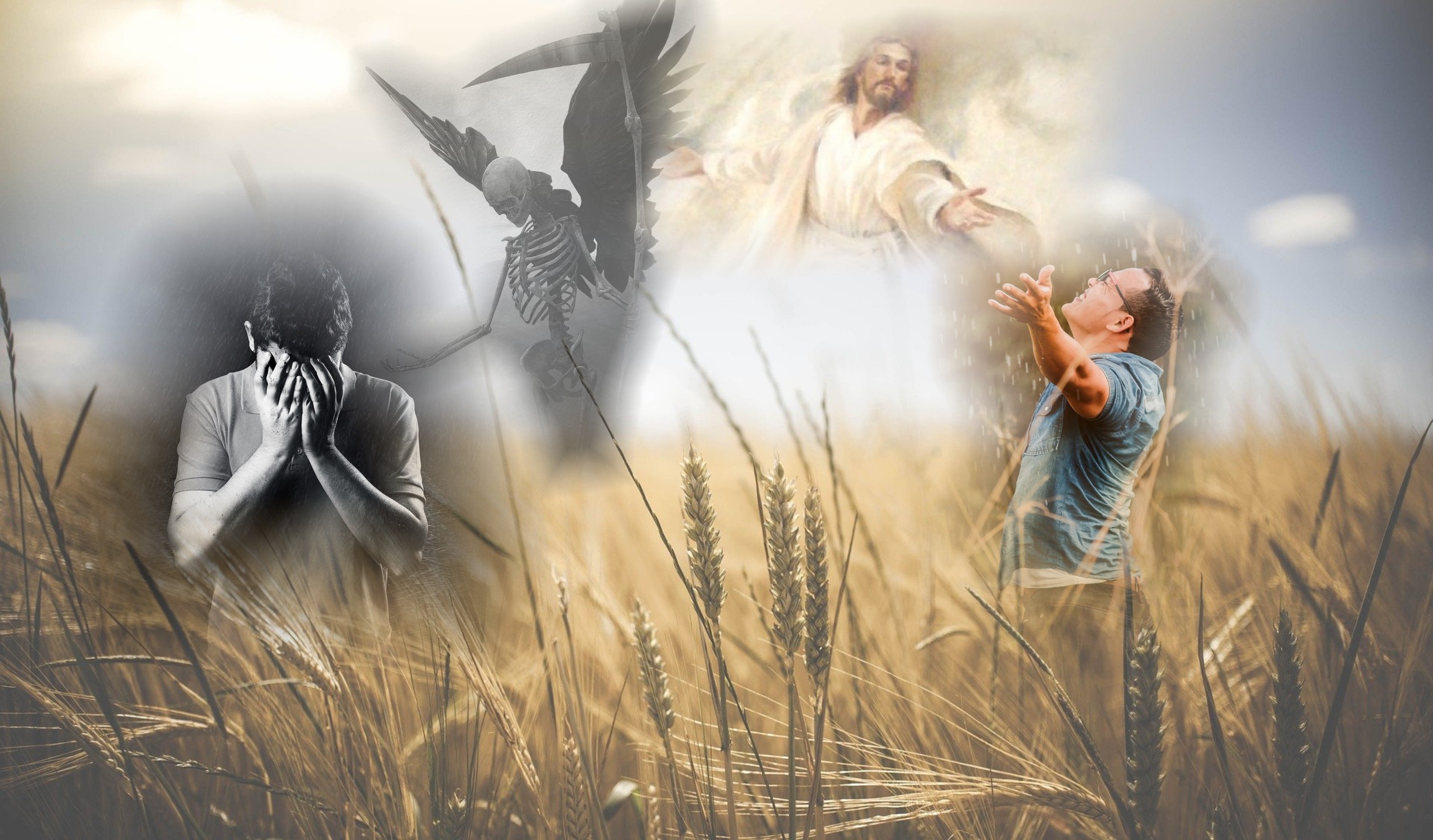 A Great Harvest – The dRhema